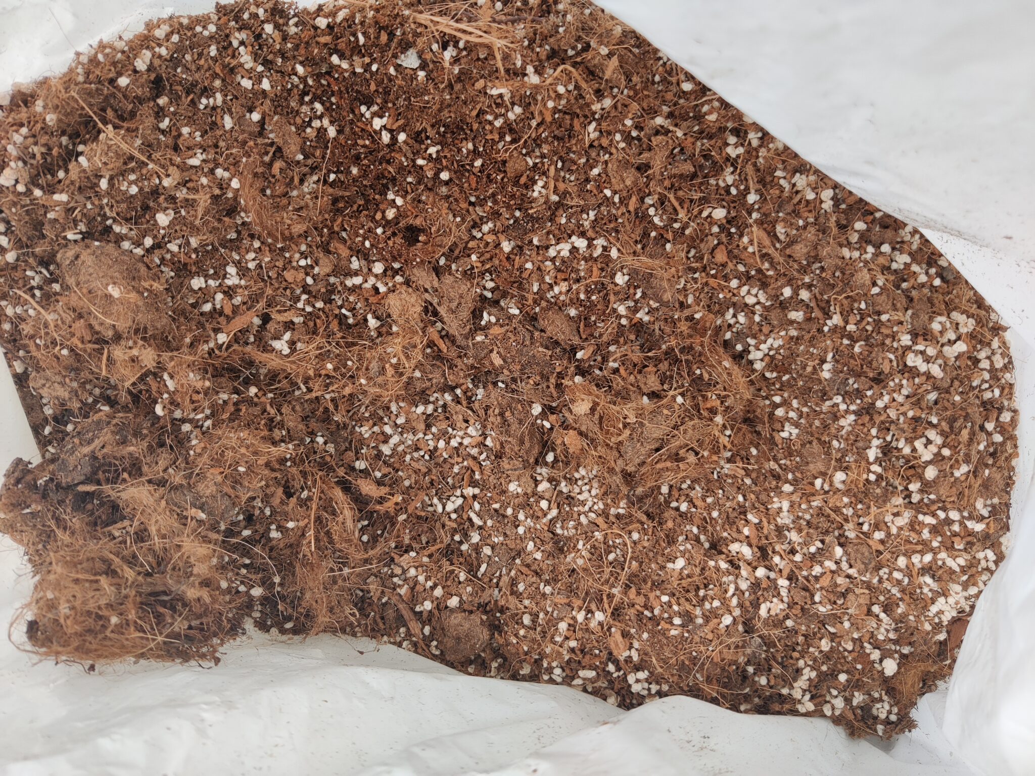 Supstrat za borovnice - Drijen